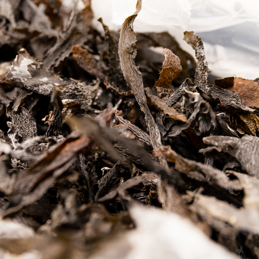 What Is Original Kombu NZ - How to Identify When Buying It | Pacific ...
