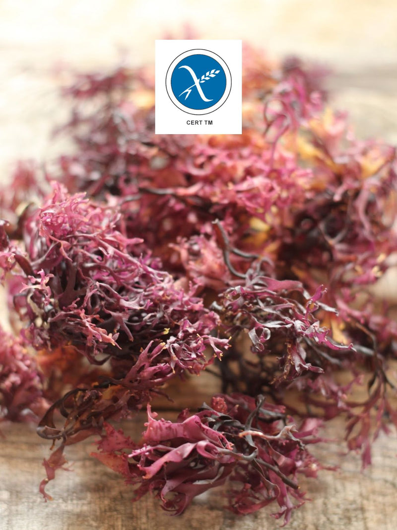 Edible Seaweed Specialists | Pacific Harvest NZ