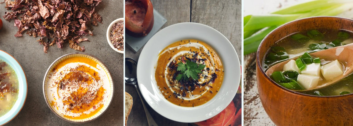 Edible Seaweed Specialists | Pacific Harvest